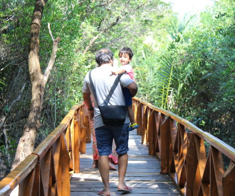 Diglipur -The Hidden Gem in North Andaman #TravelingWithKids