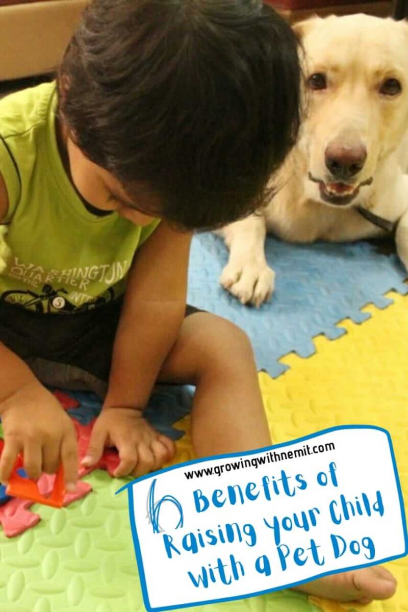 Advantages of Raising your Child with a Pet Dog - Growing With Nemit