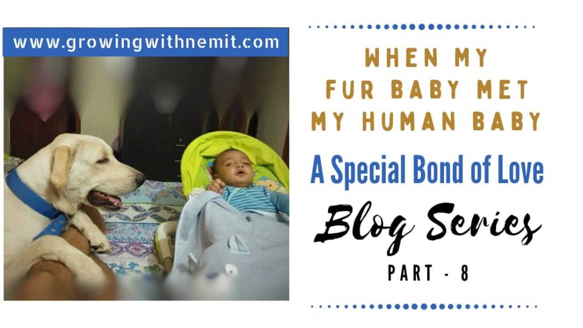 Fur Baby Meeting Human Baby | Caesar Met Nemit - Blog Series (Part - 8)