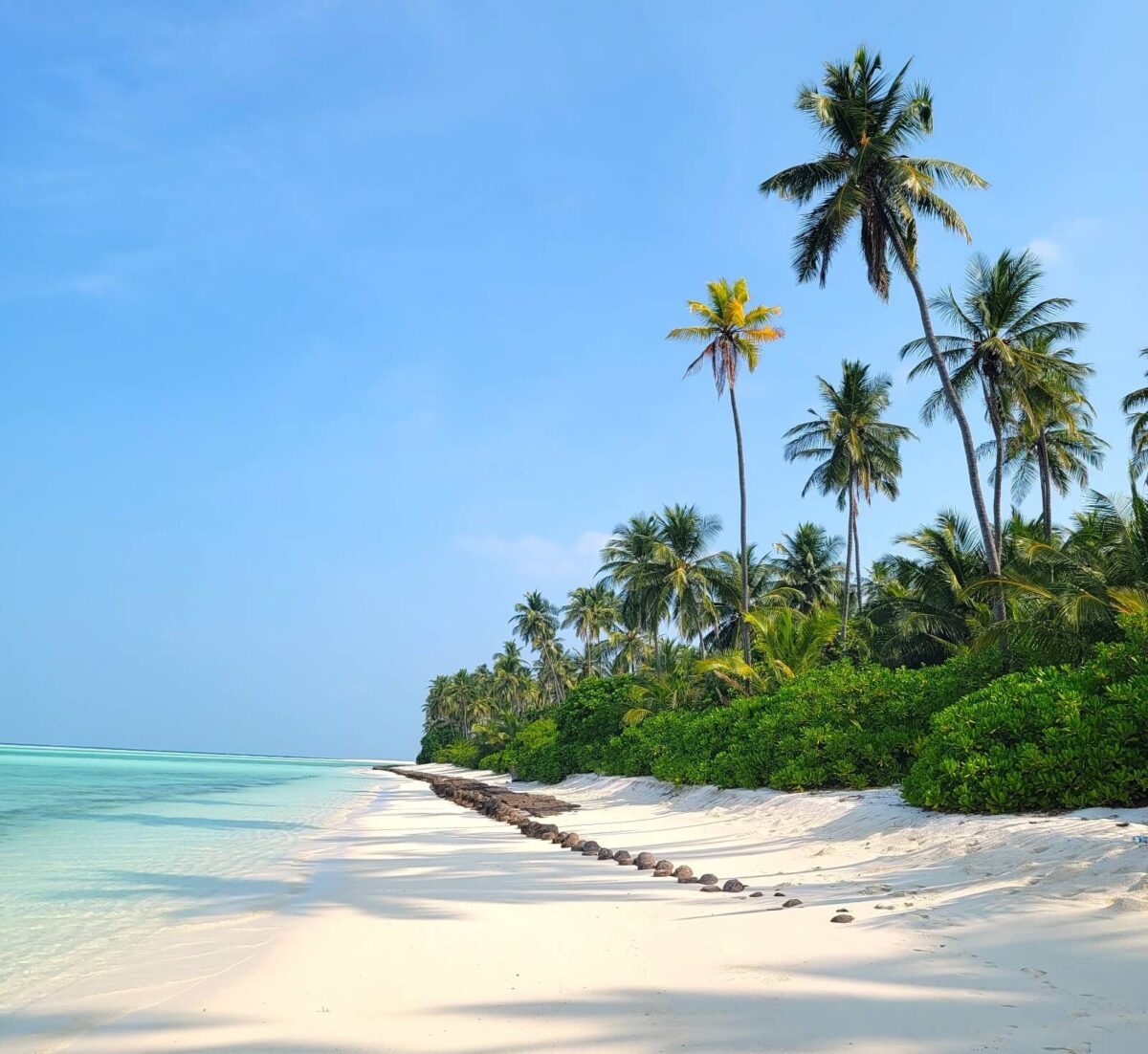 Lakshadweep Travel Guide for Families in 2025 - Growing With Nemit