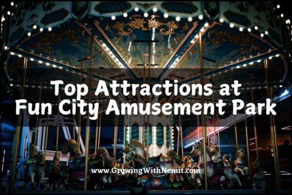 Top Attractions You Can't-Miss at Fun City Amusement Park